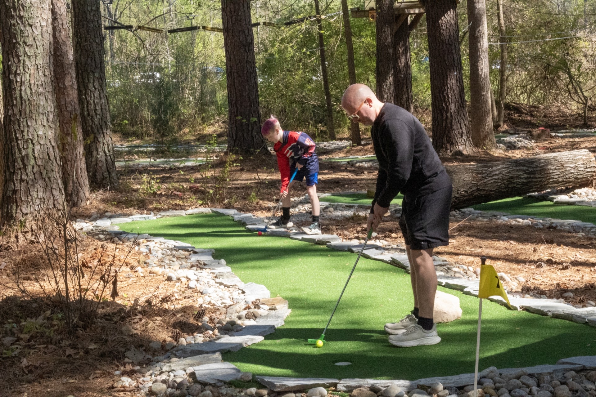 Home - Putt Forest